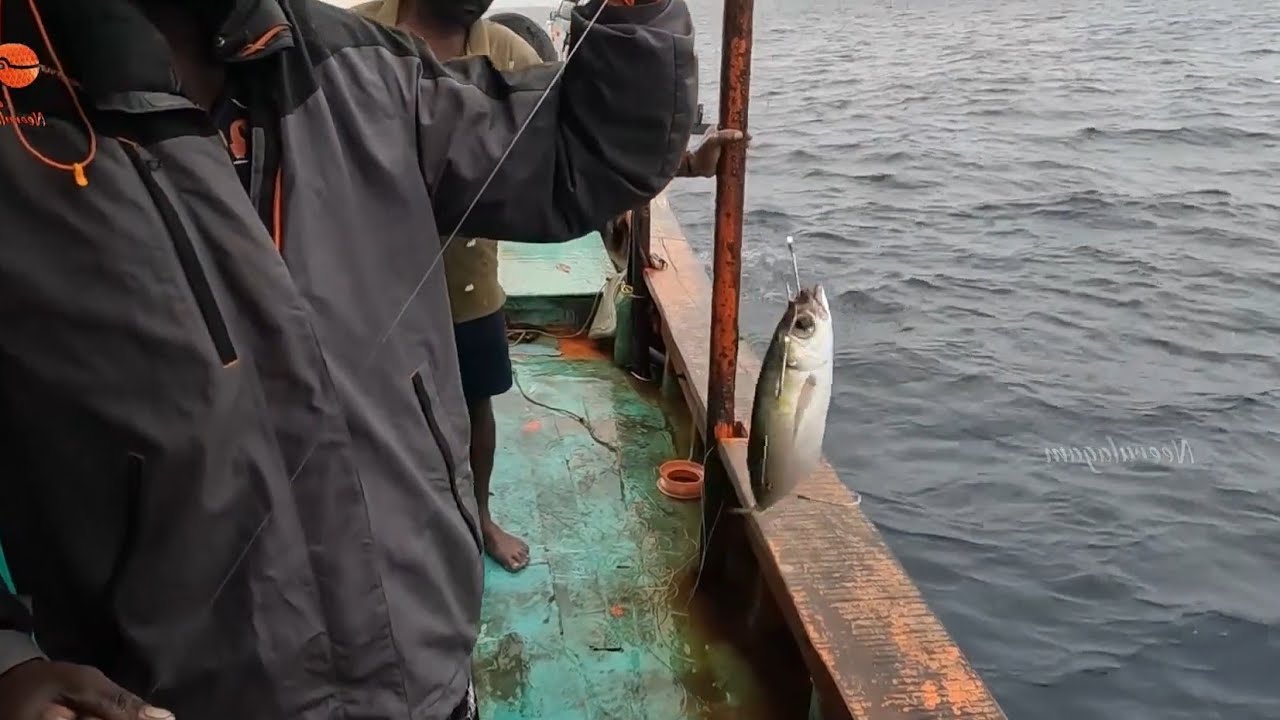 Catching giants using live bites| king fish, Gt, snappers, tuna - YouTube