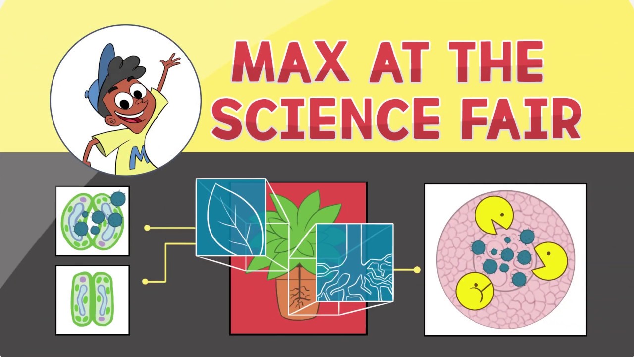 MAX AT THE SCIENCE FAIR | English Cartoon to Learn English - YouTube