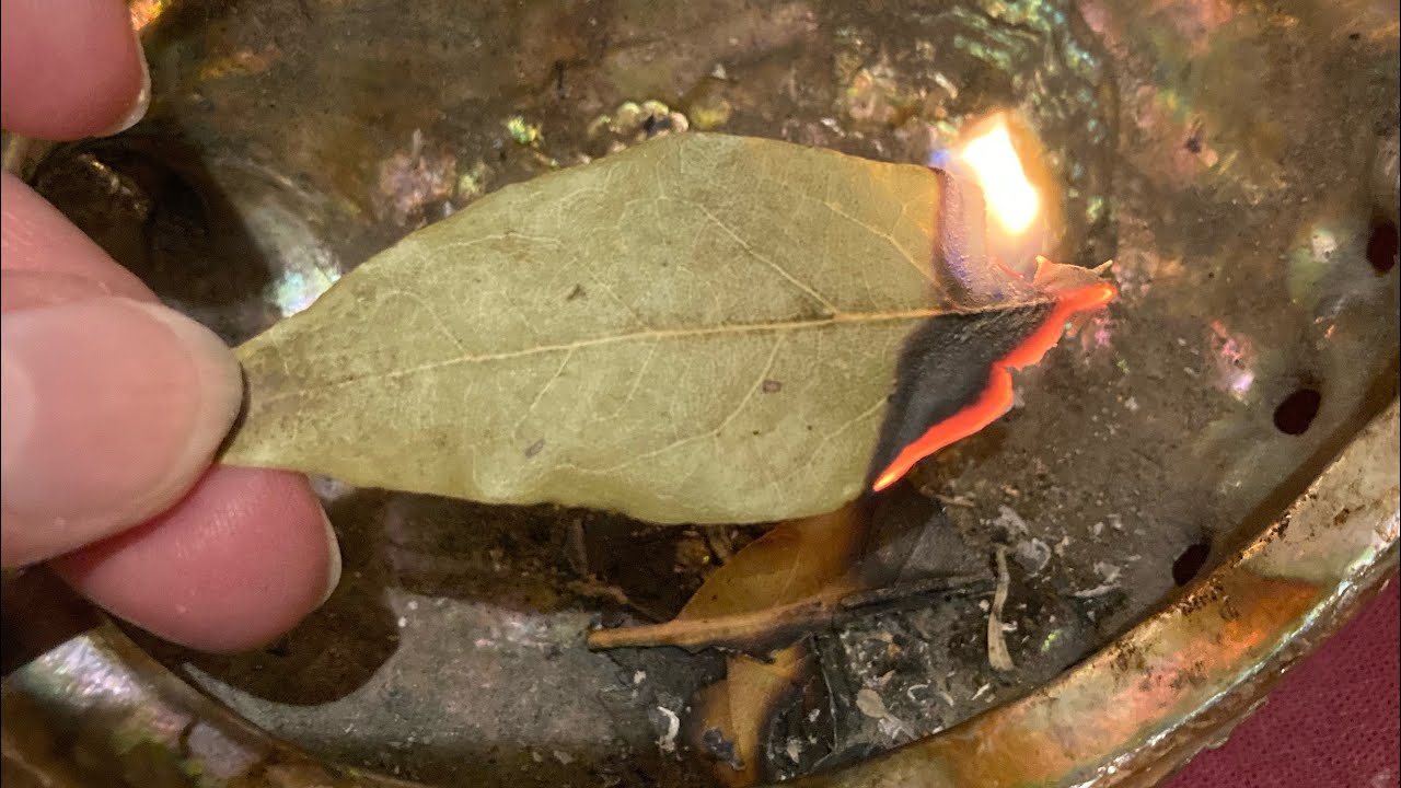 Bay Leaf Magick - YouTube