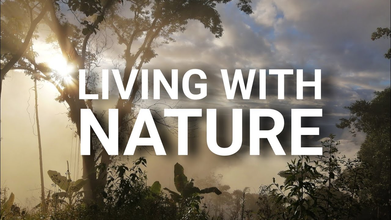 LIVING WITH NATURE - A Dream Comes True - YouTube