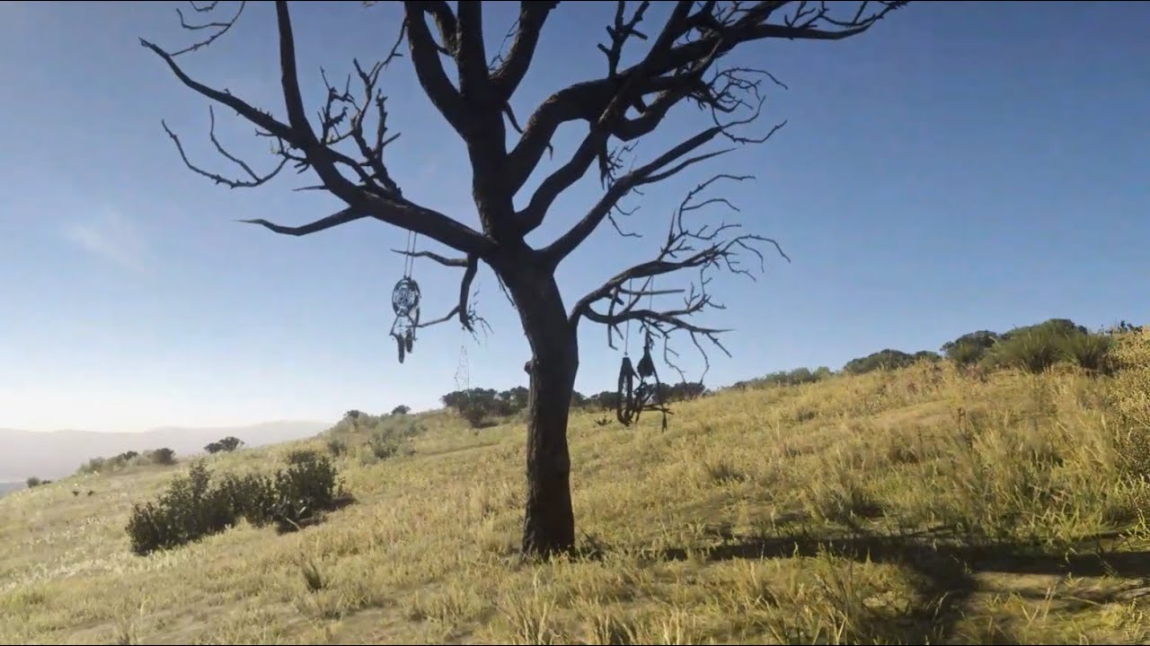 RDR2 - In 4 Years, I've Never Seen This Tree - YouTube