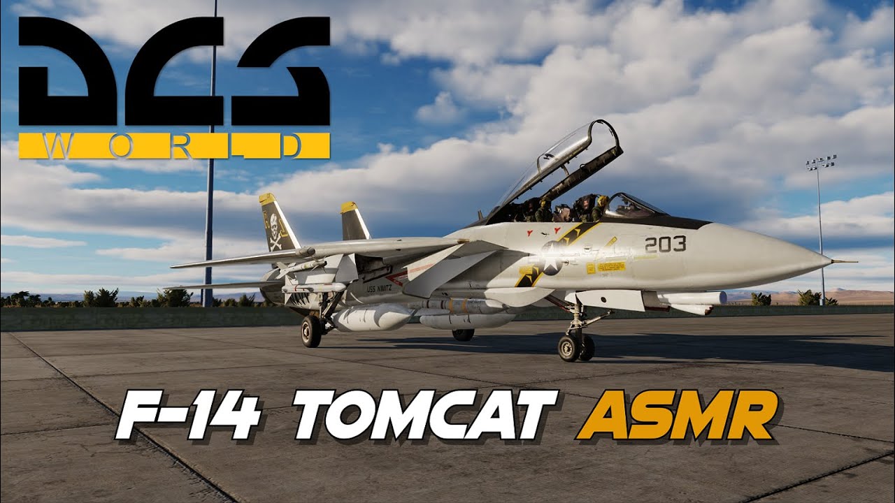 The Sounds of the F-14 Tomcat | DCS World - YouTube