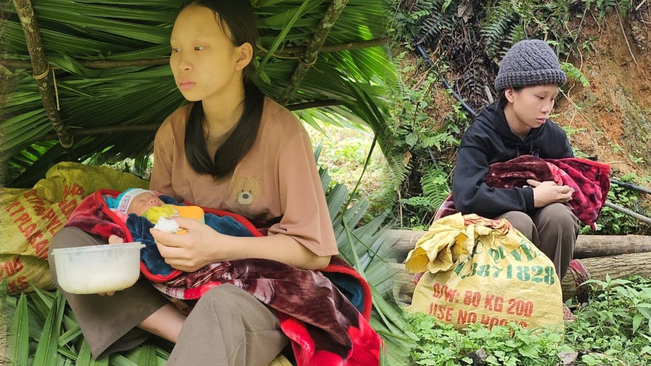 The 18-year-old girl went to the fields to pick up golden apple snails ...