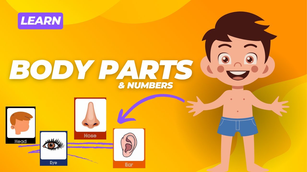Body Parts Song for Kids - This is ME! By cocoMo_Kids Rhymes Learning ...