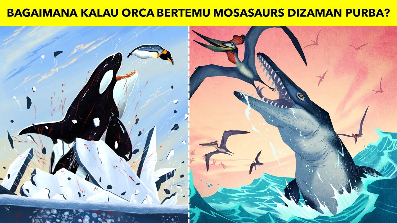 Bagaimana Jika Orca Hidup di Zaman Purba Bertemu dengan Mosasaurus ...