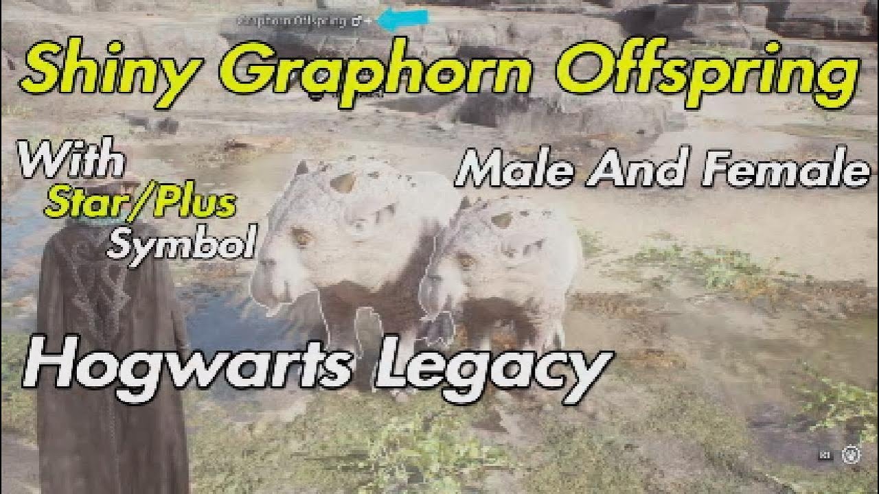 Hogwarts Legacy Shiny Graphorn Offspring Male And Female With Star hogwarts-legacy-shiny-graphorn-offspring-male-and-female-with-star