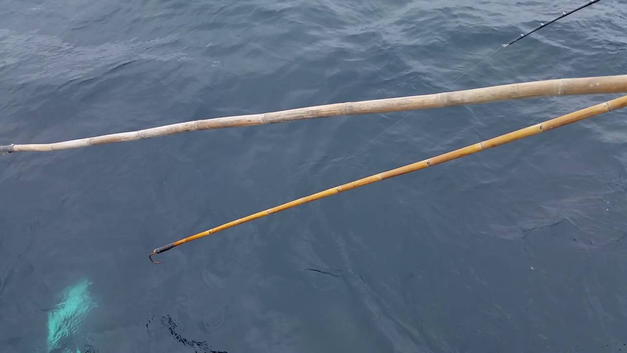 Malihini Mike, Sportfishing, RLC San Diego - YouTube