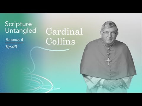 Season 5: Ep 3 | Cardinal Collins | A Cardinal's View on the Positive ...