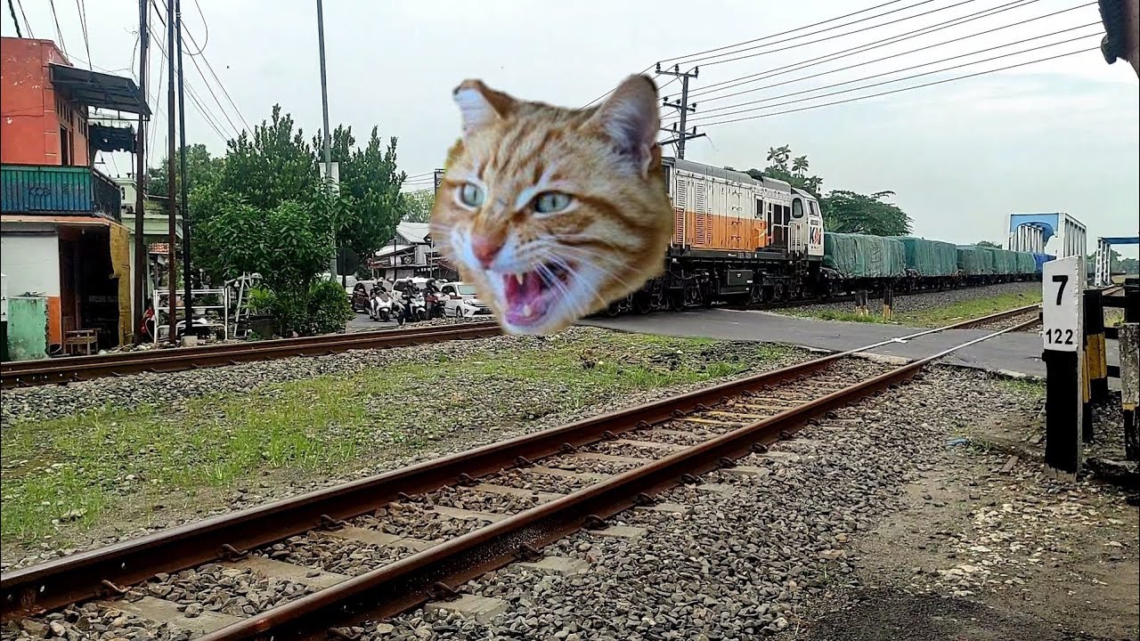 Waduh! Teman Teman Ada Kereta Kepala Kucing Oren Nih | Kereta Api ...
