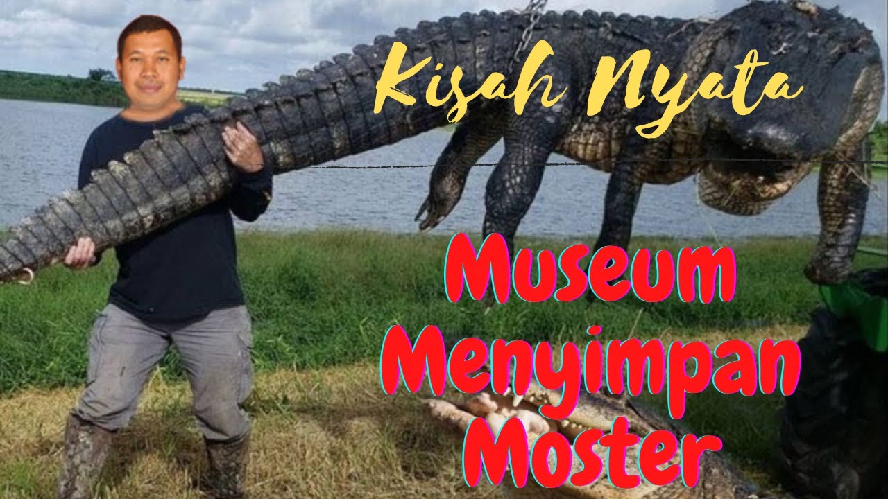 Museum Kayu ternyata menyimpan Monster Sangatta - YouTube