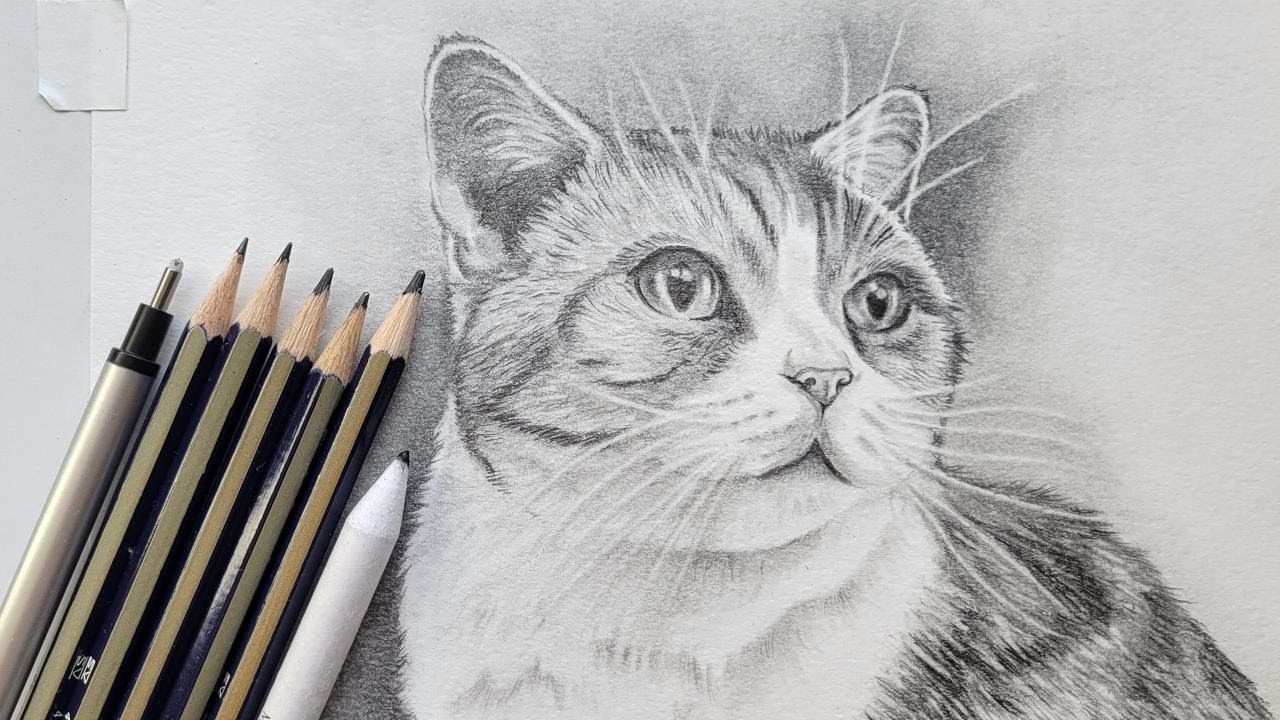 Drawing Jellie - YouTube