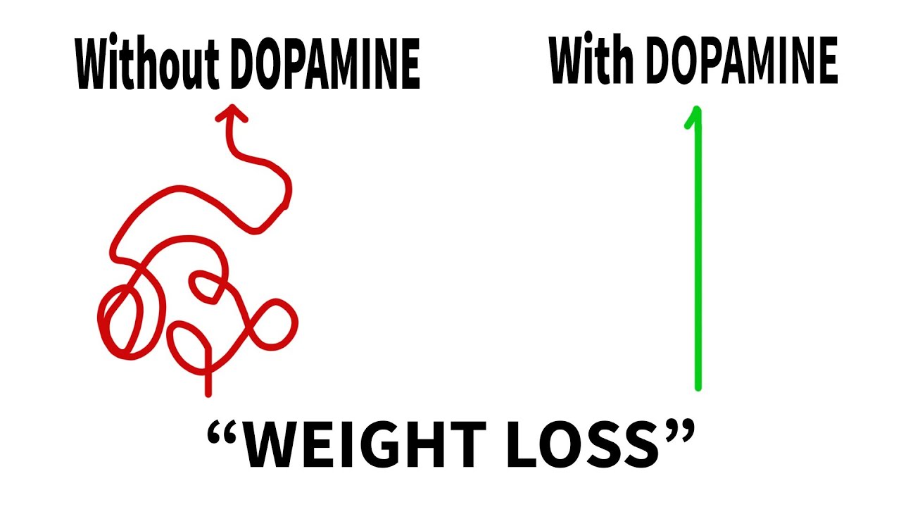 Dopamine Loading” Is The Easiest Way To Speed Up Fat Loss - YouTube
