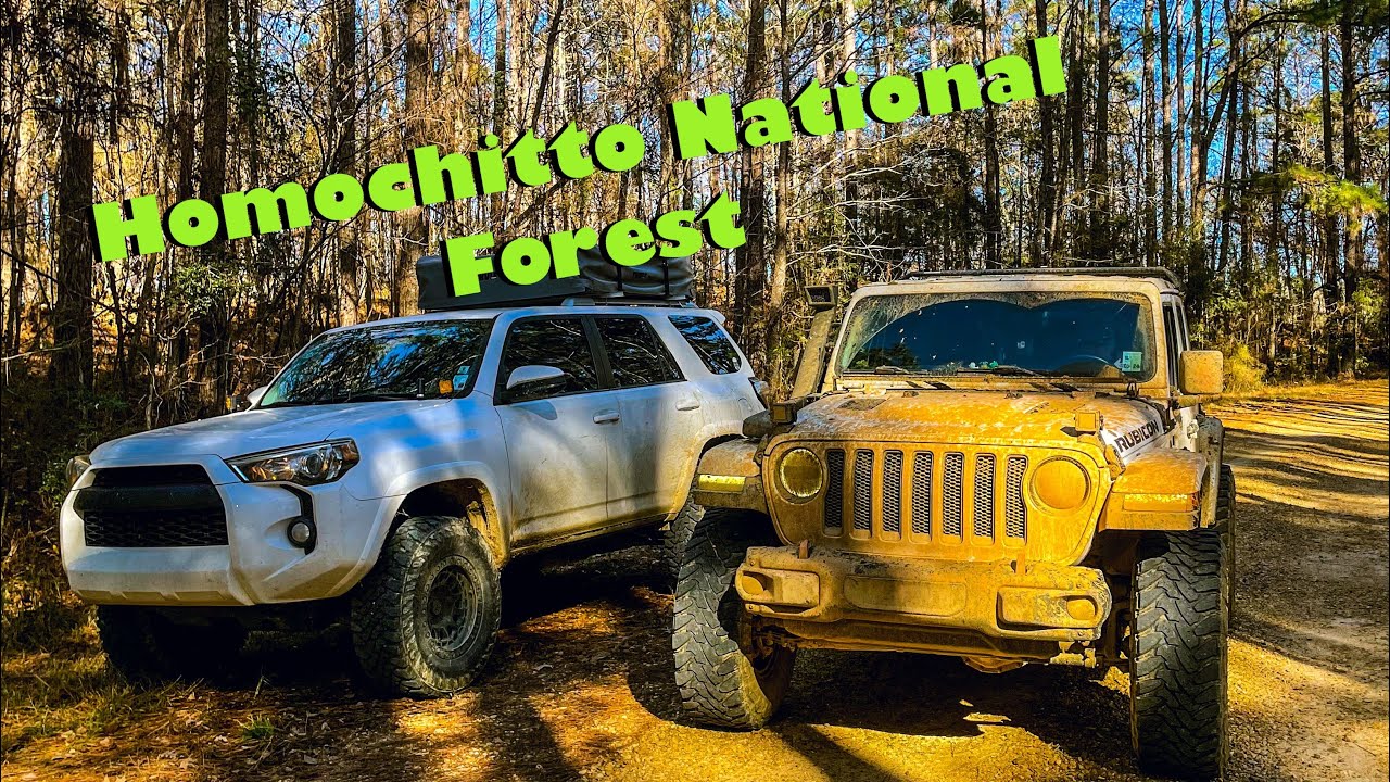 Exploring The Homochitto National Forest! - YouTube