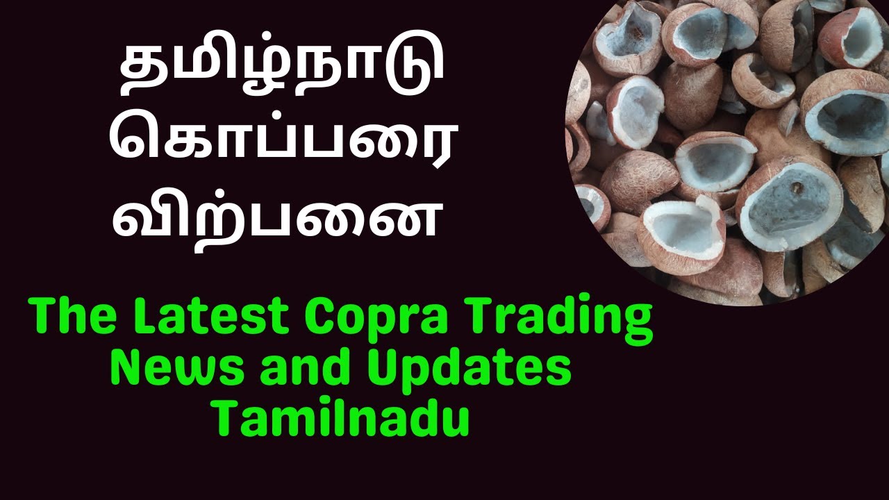 The Latest Copra Trading News and Updates Tamilnadu | தேங்காய் பருப்பு ...