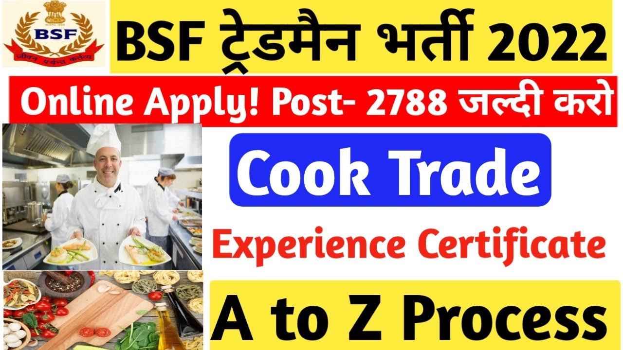 Cook Experience Certificate kaise banaye | Cook Experience Certificate ...