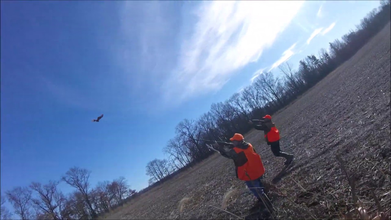 Scott, Allen, Austin and Dave, Pheasant and Quail Hunt - YouTube