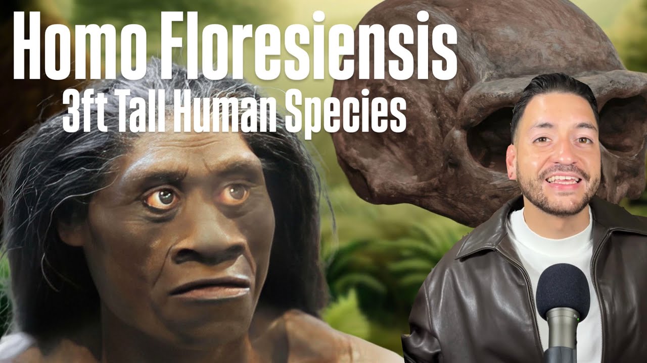 Homo Floresiensis: The Human Hobbit Species! - YouTube