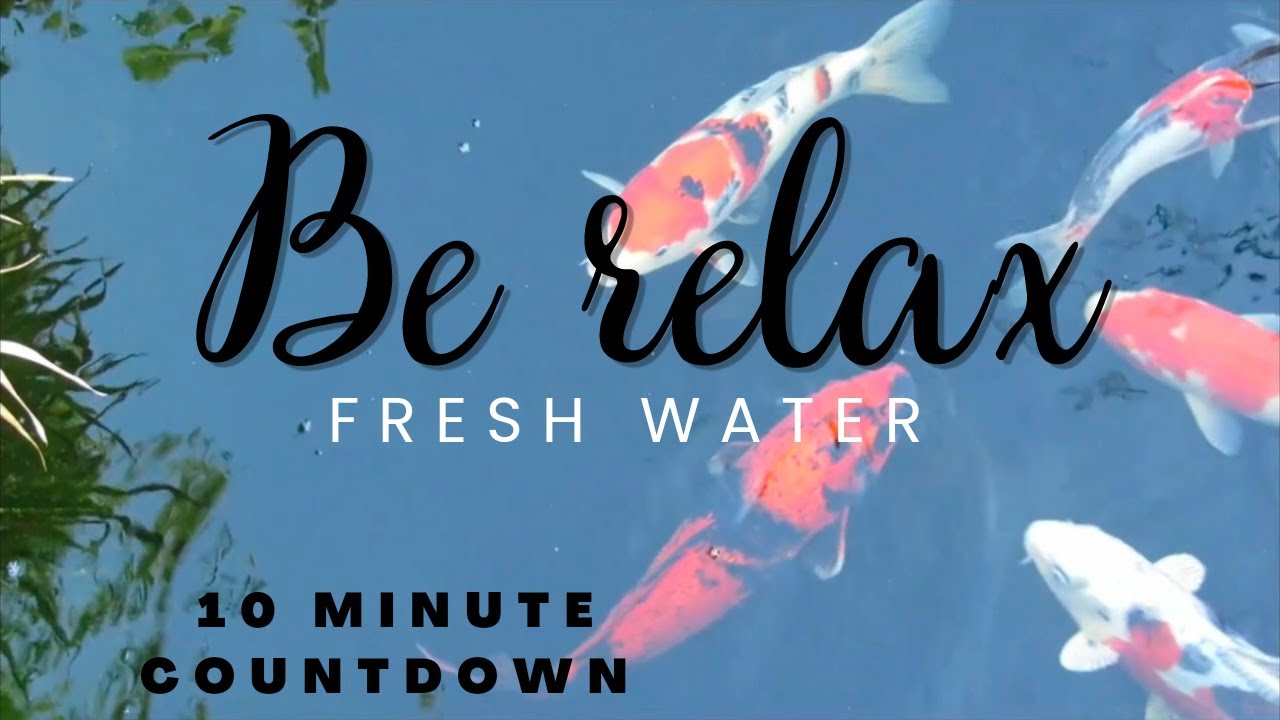 10 minute fall timer with relaxation music- be a relax - YouTube