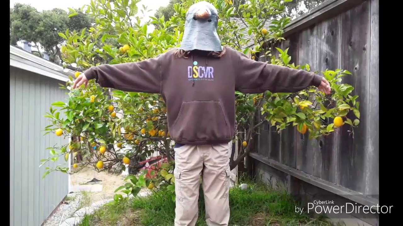 T pose Tuesday 1 - YouTube