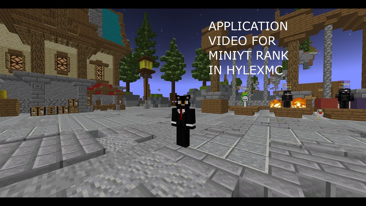 My Video Application For Hylex Mc MiniYt Rank - YouTube