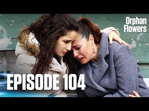 Kırgın Çiçekler I Orphan Flowers - Episode 104