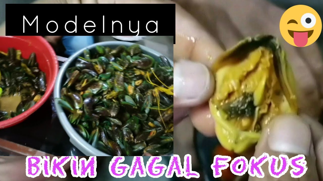 Kerang Hijau/Kijing.: Green Mussels Di Masak Kuning - Pesta Makan Malam ...