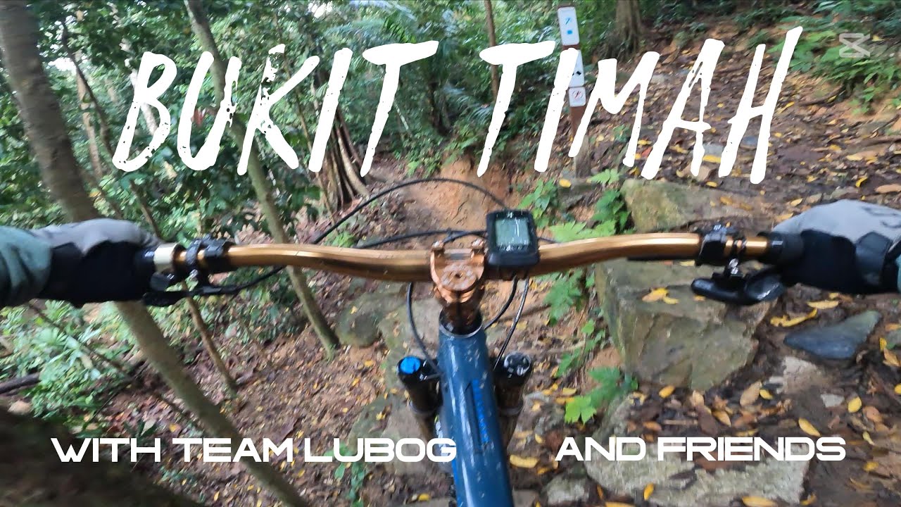 SHREDDING T15 TO BT LOOP - YouTube