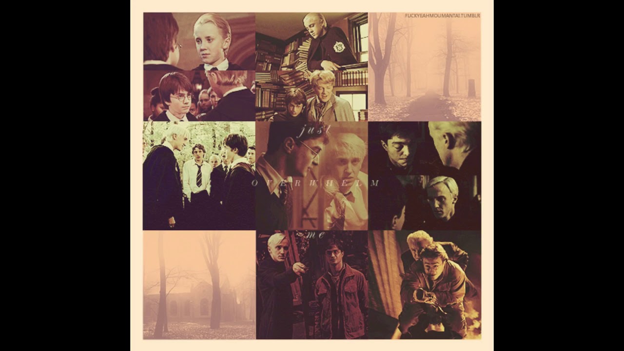 Drarry Fanfiction "The Vampire and the Werewolf" Part 2 - YouTube