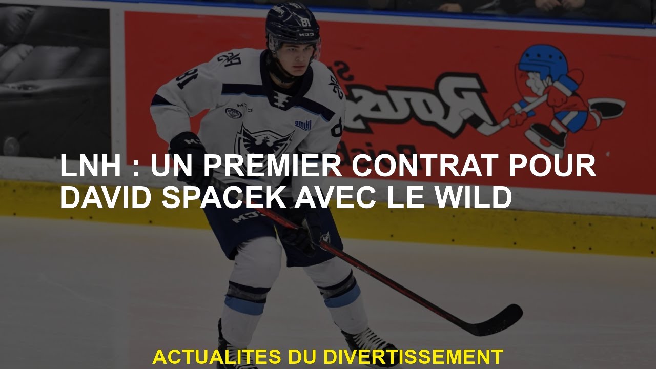 NHL: un premier contrat pour David Spacek avec le sauvage - YouTube