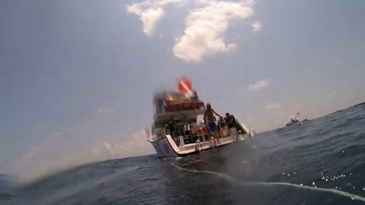 New Venture Dive 2 8-25-18 - YouTube