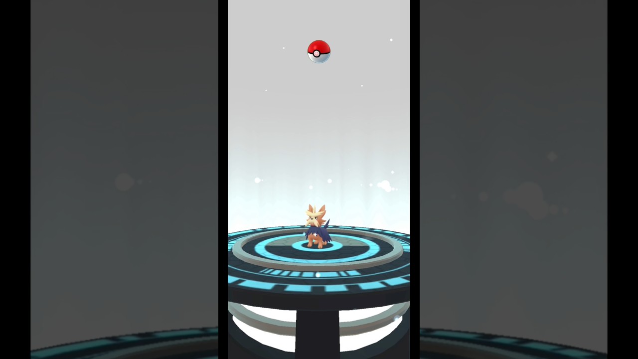 Herdier Evolve #pokemongo #playpokemon - YouTube