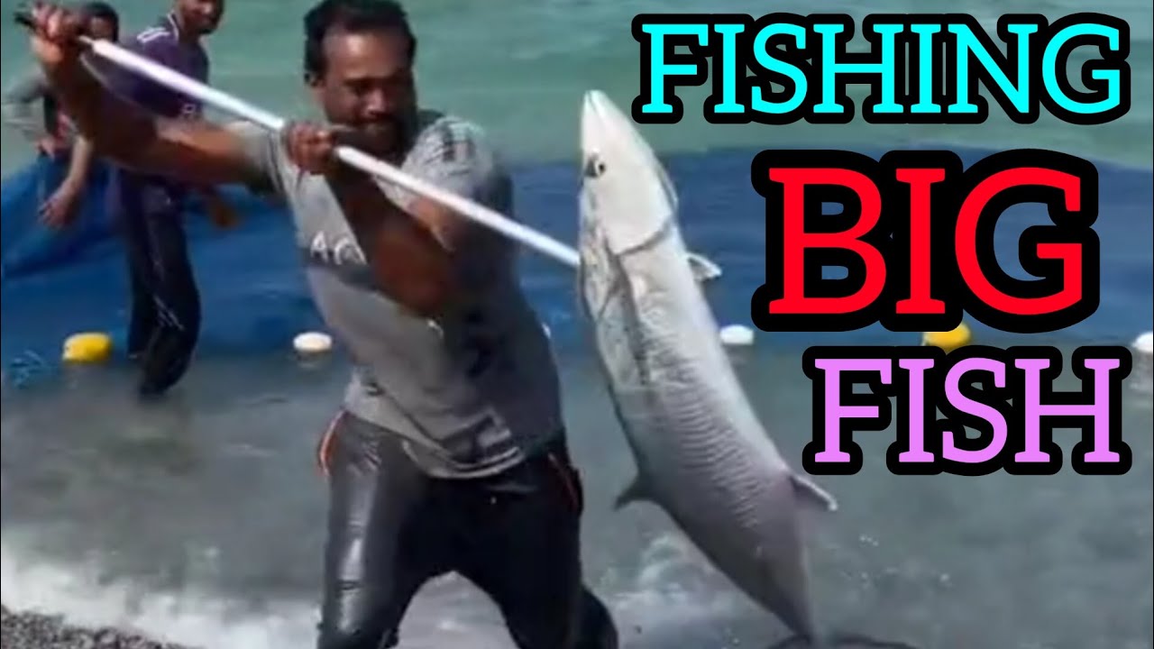 big fishing in the world | fishing in the sea | fishing videos ...