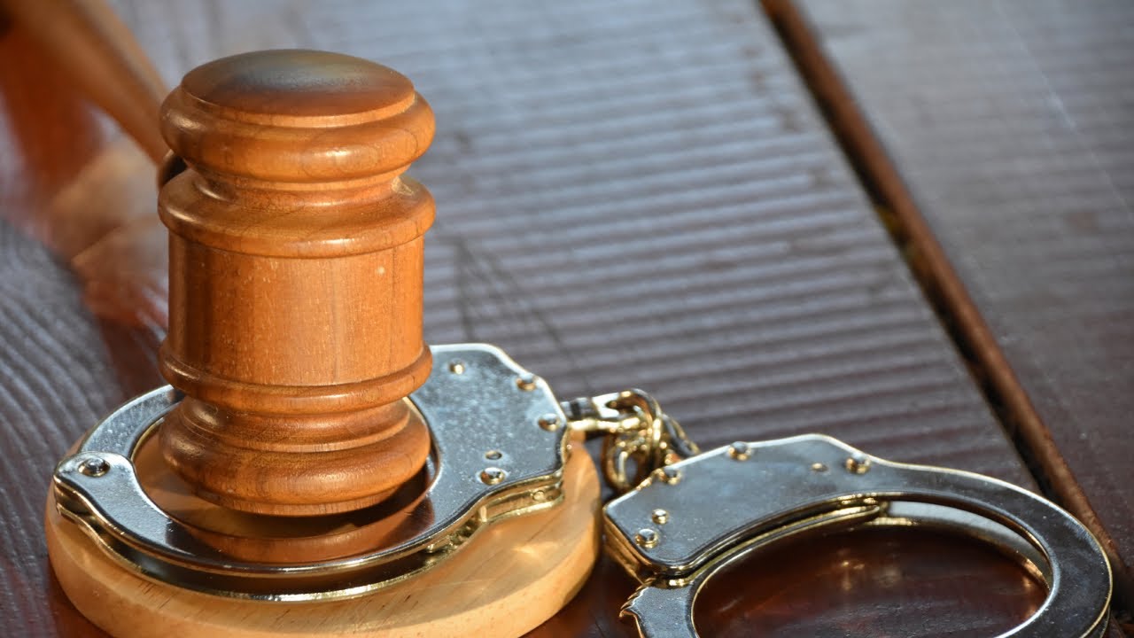 Shelby Shell Pleads Guilty to 12 counts of "smaller" charges. - YouTube