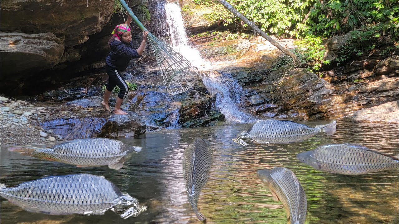 Follow the stream to the source, discovering a puddle with many giant ...
