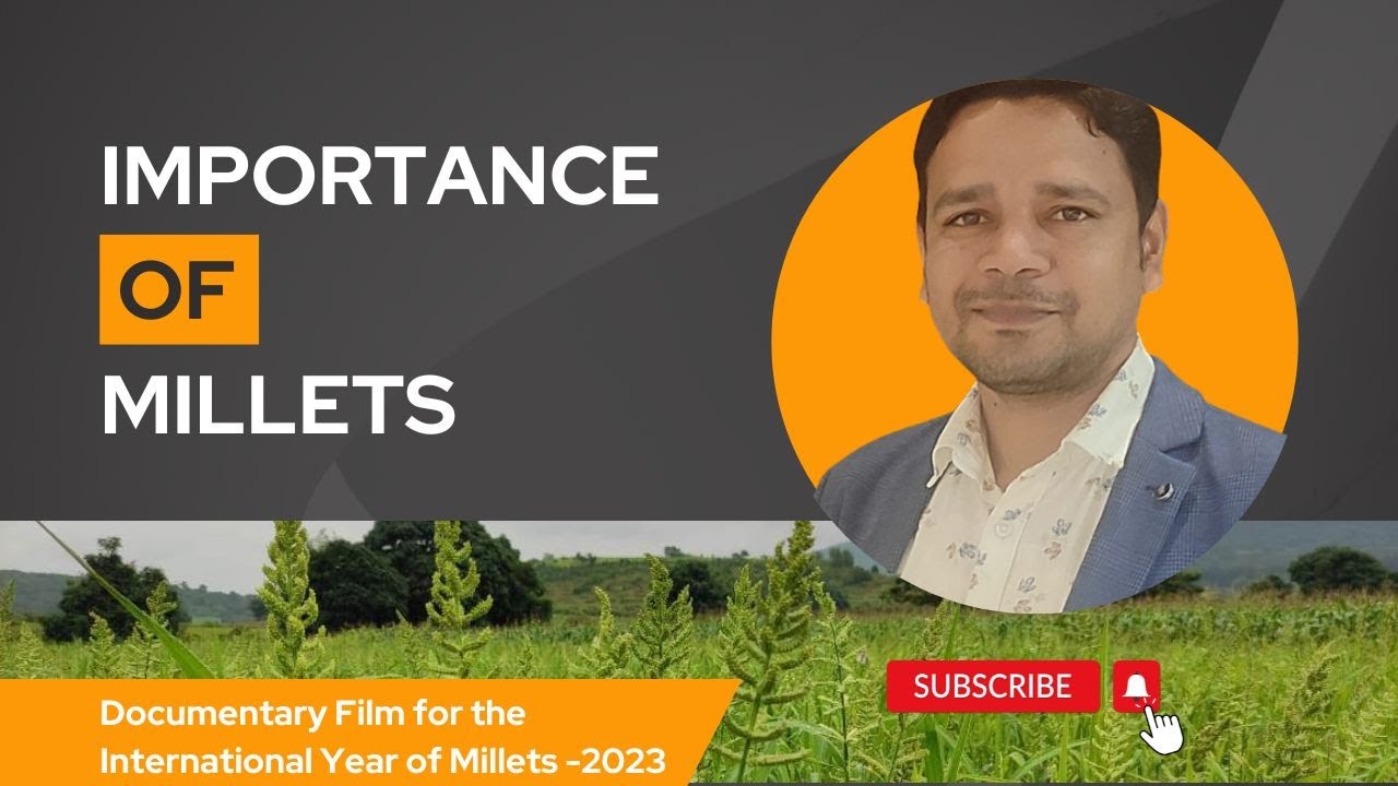 Importance of Millets- Documentary Film - YouTube