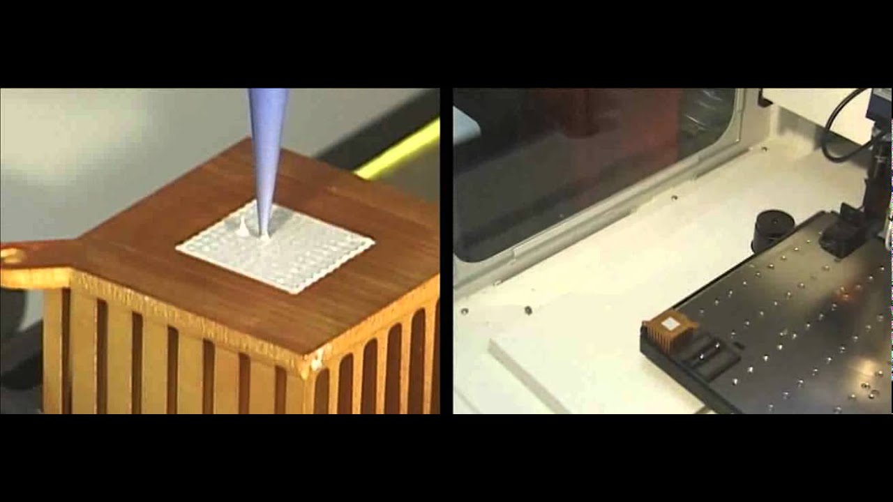 Nordson ASYMTEK: Thermal paste dispensing by the DV-8000 on a D-583 ...