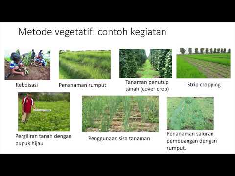 Kuliah Konservasi Tanah dan Air 13: Metode Konservasi Tanah - YouTube