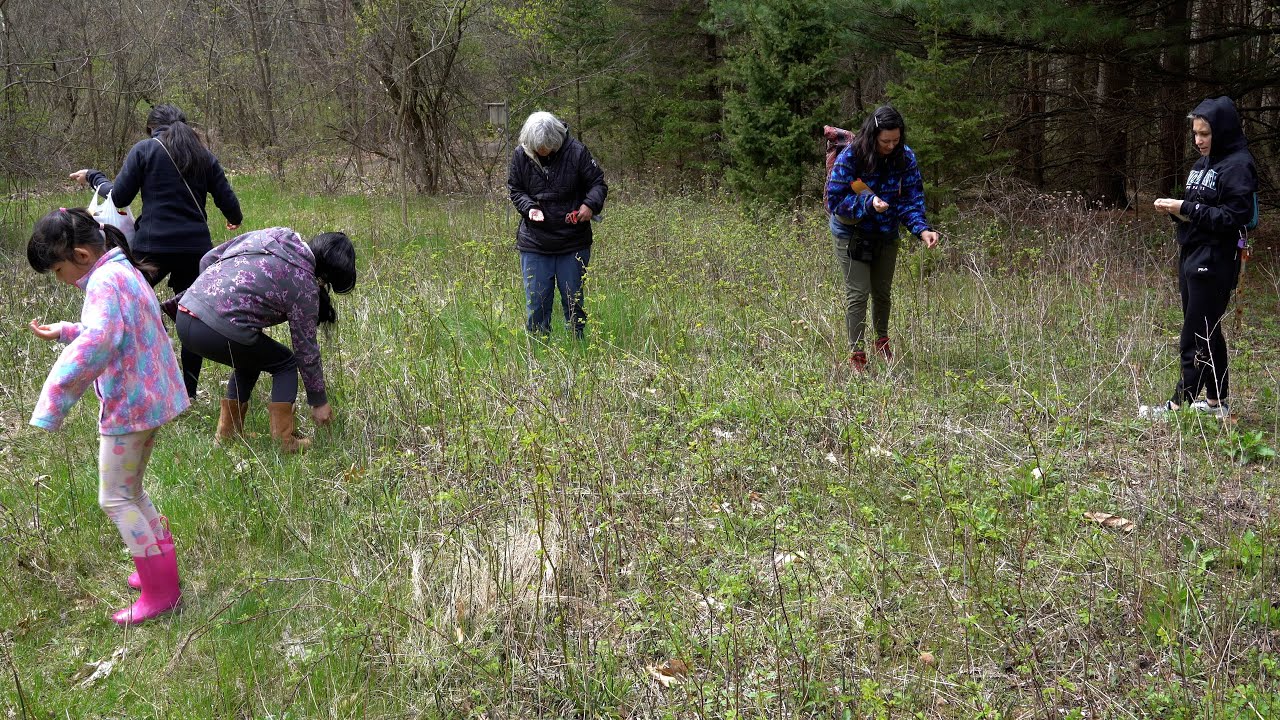 Earth Day at Harris Nature Center 2023 - YouTube