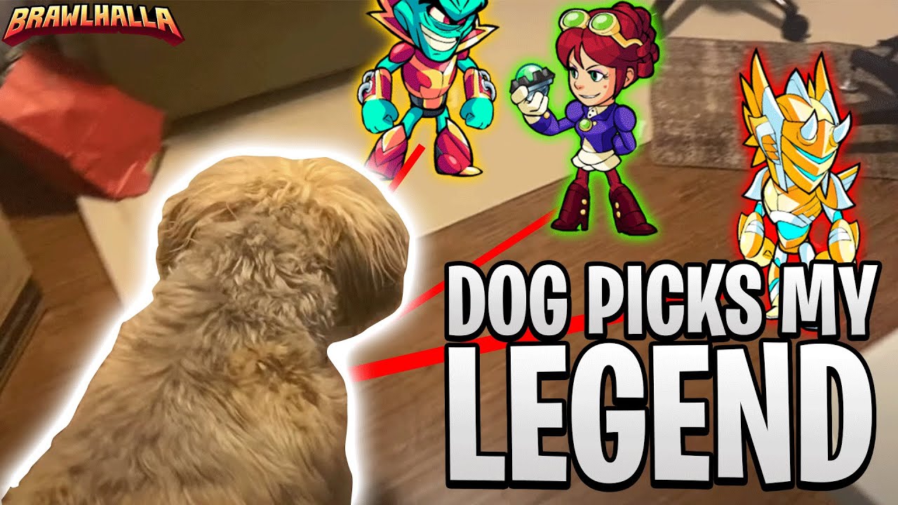 Letting My DOG Decide Who I MAIN In Brawlhalla - YouTube