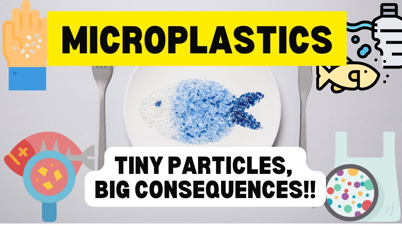The Impact of Microplastics: Tiny Particles, Big Consequences! - YouTube