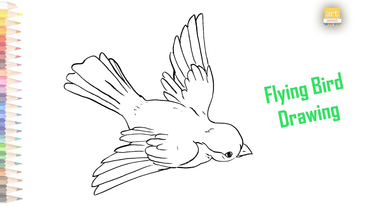 Flying bird drawing easy || How to draw A Bid step by step - YouTube