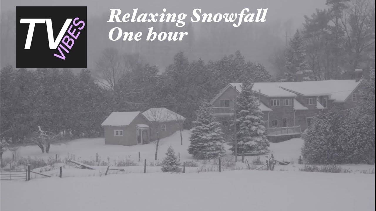 Ambient/Relaxing Snow falling 1 Hour - YouTube
