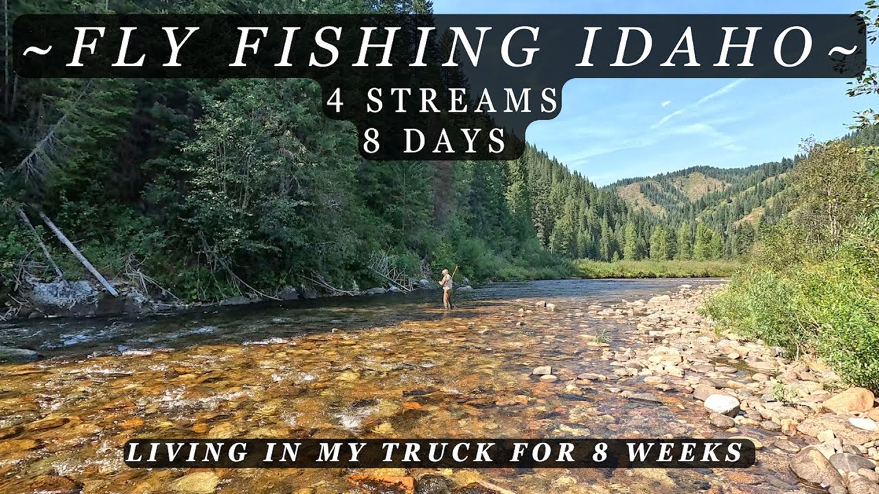 Idaho is a must visit - A look at 4 streams in 8 days - A fly fishing ...