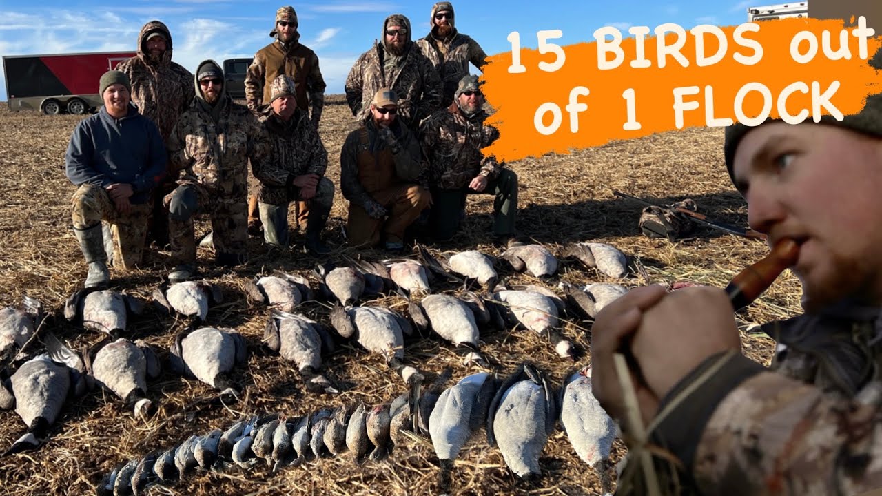 45 BIRDS Down in 2 days! ND waterfowl. - YouTube