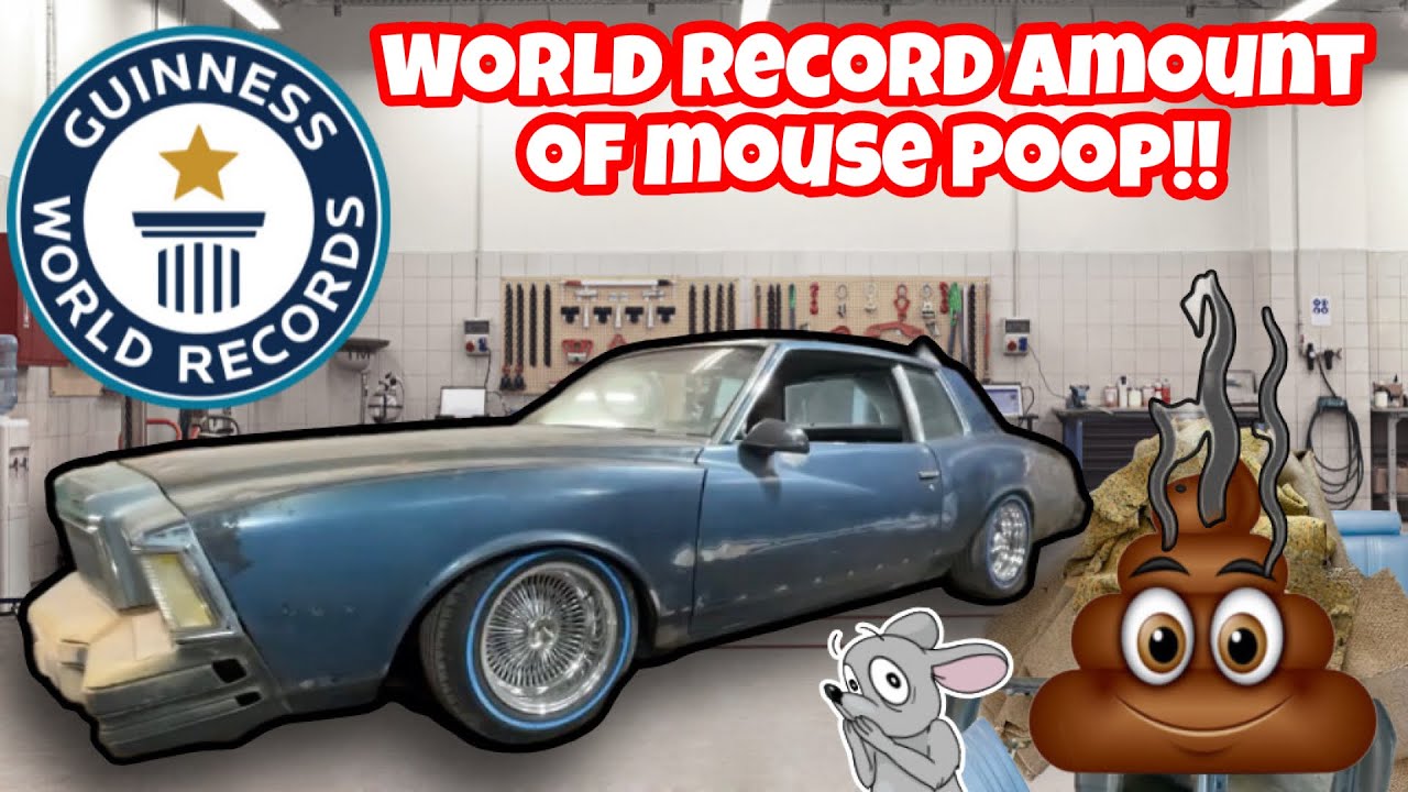 WORLD RECORD FOR MOUSE POOP IN ONE CAR! STRIPPING THE TRAINING DAY ...