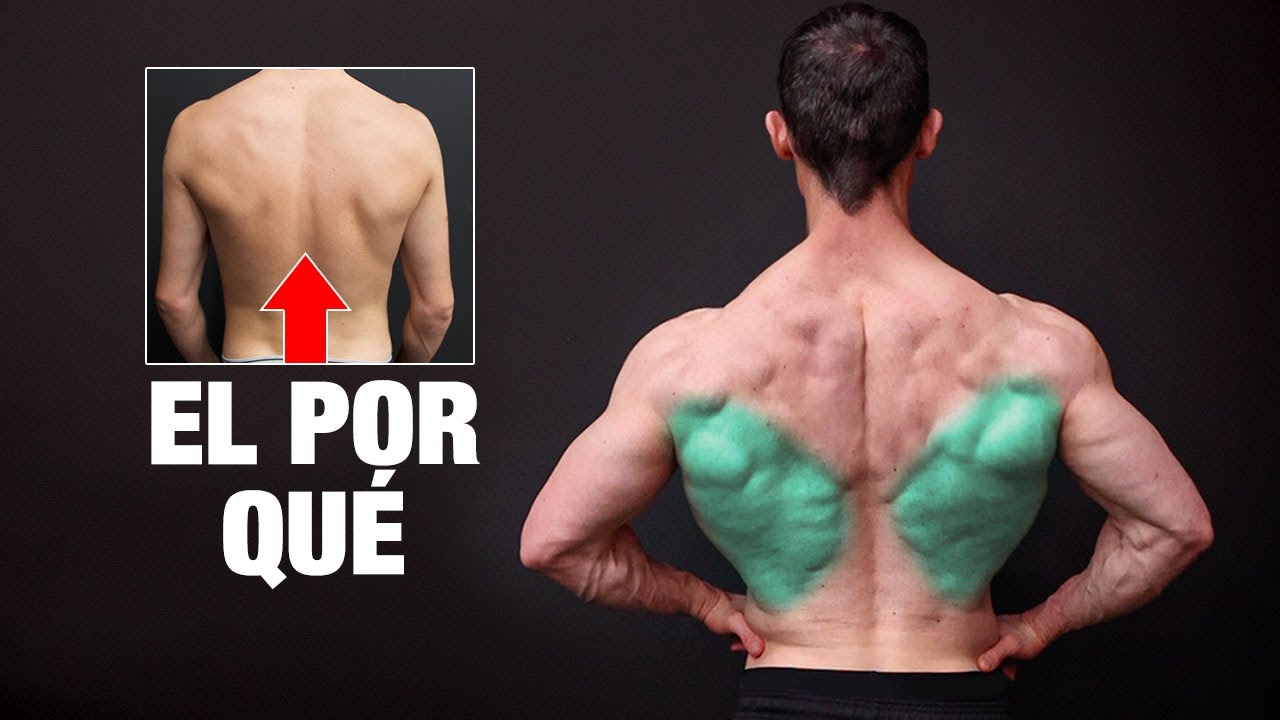 ¡La VERDADERA RAZON Por La Que tus Dorsales No Crecen! - YouTube