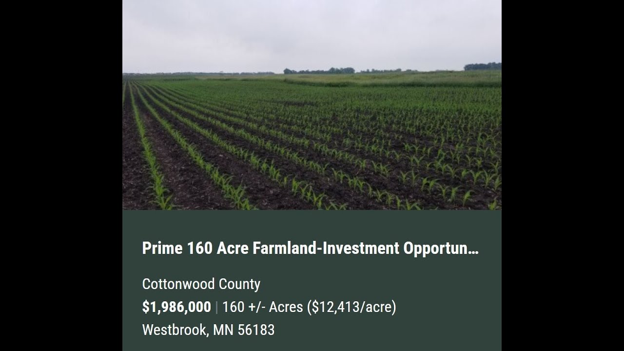 Prime 160 Acres - Farm with your operation or great Investment ...