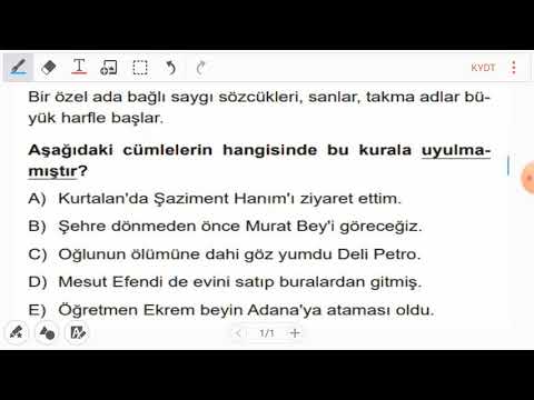 Özel ada bağlı saygı sözlerinin takma adların yazımı Test 127/ Soru 2 ( Yazım Kuralları soru çözümü)