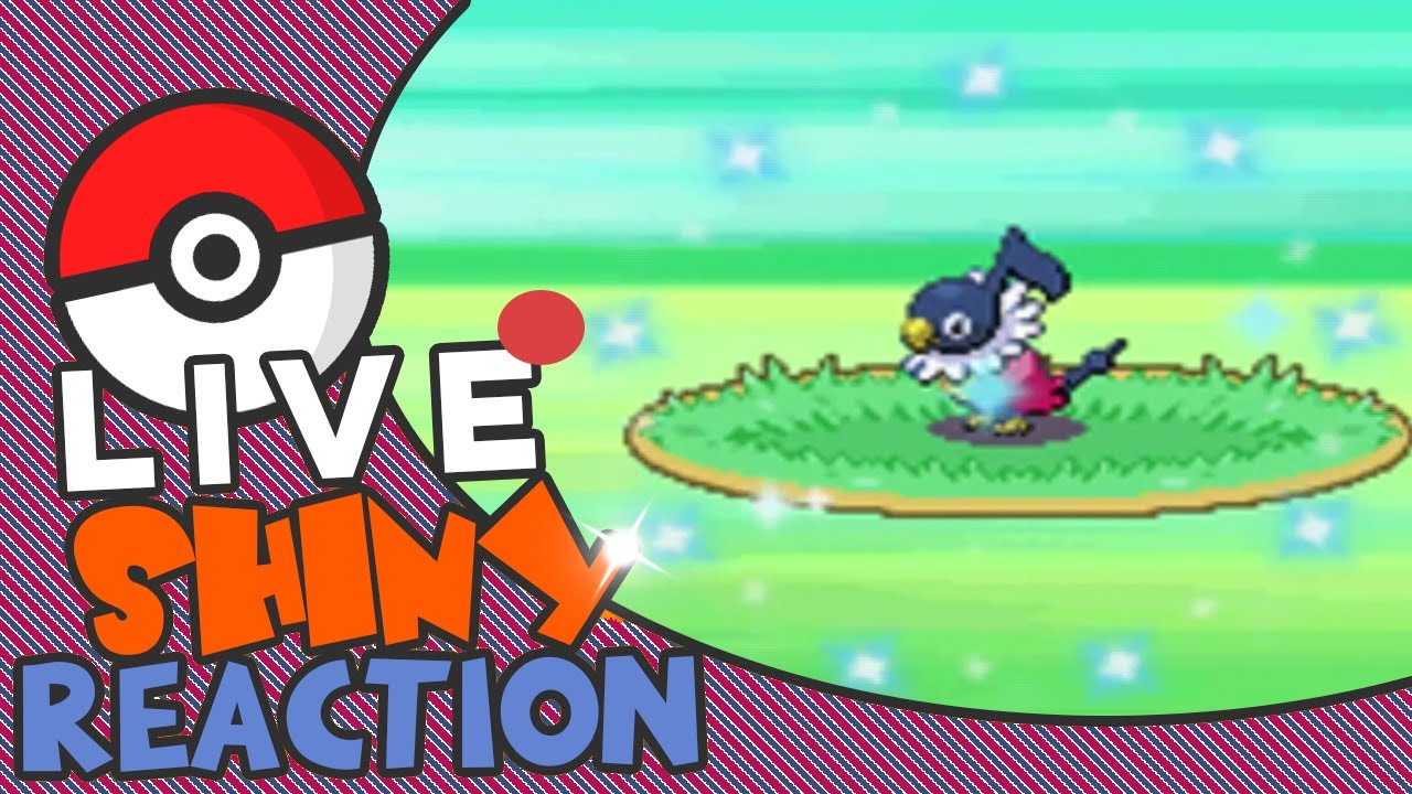 Shiny Chatot Pokemon