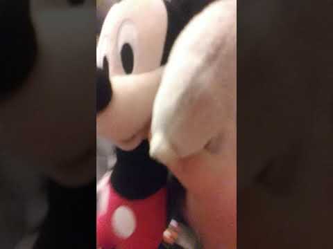 Mickey gets sprayed by skunk!